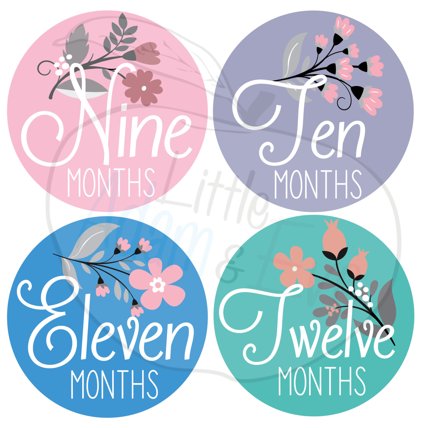 Baby Monthly Milestone Stickers- 12 Stickers, Floral Monthly Baby ...