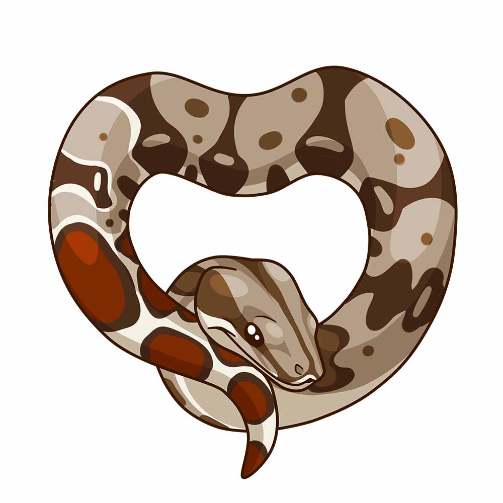 Red Tail Boa Heart Decal 4 inch on Storenvy